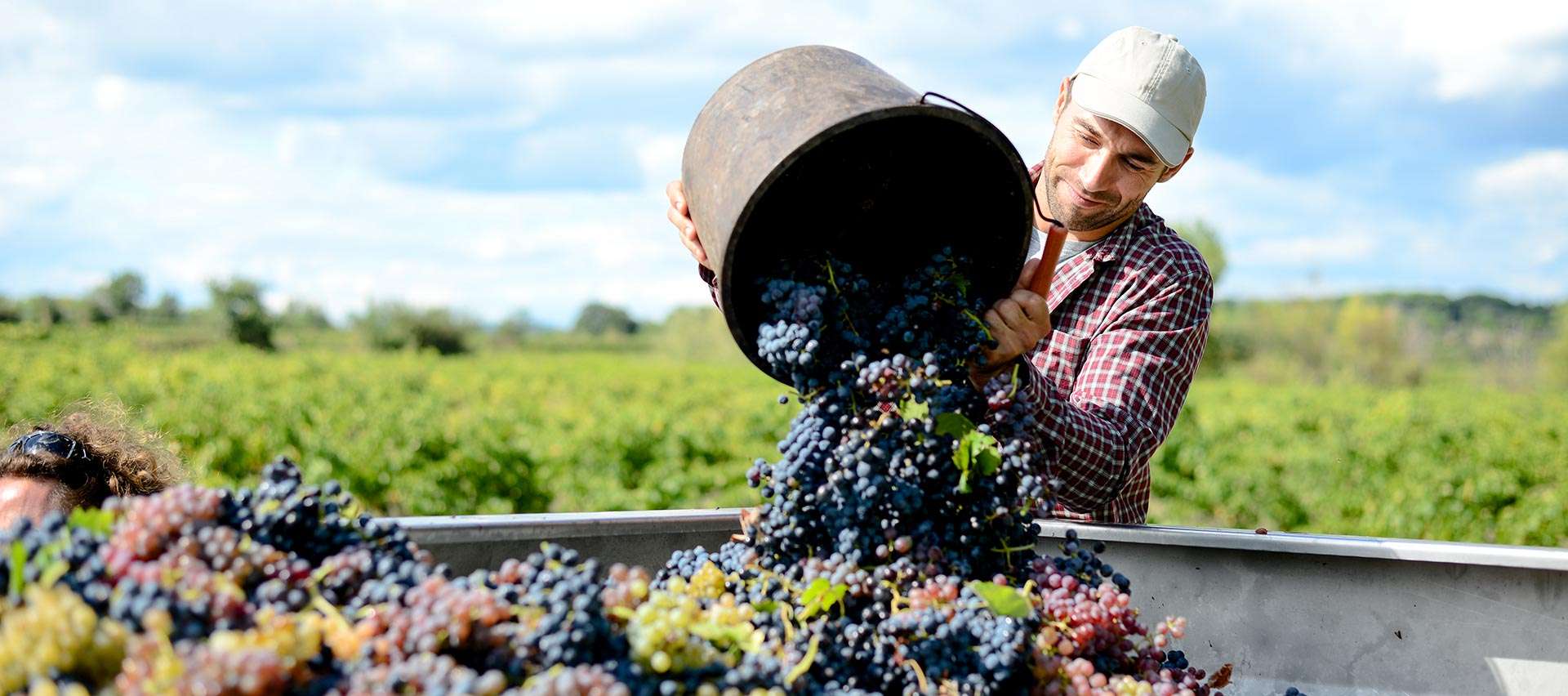 The Definitive Guide to Wine Education | Rack and Return